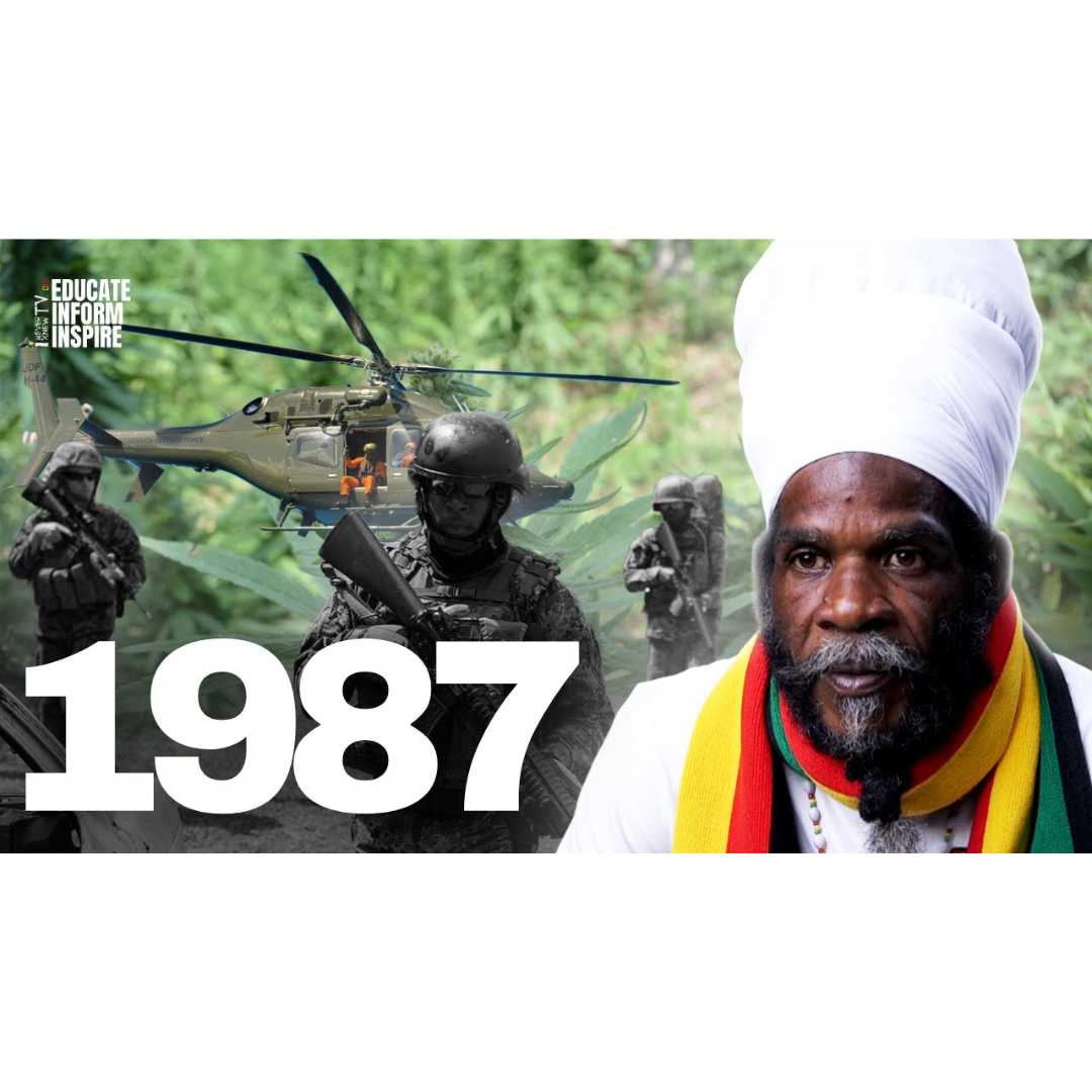 The World Has No Idea What The USA Did to Jamaican Weed in 1987 ...